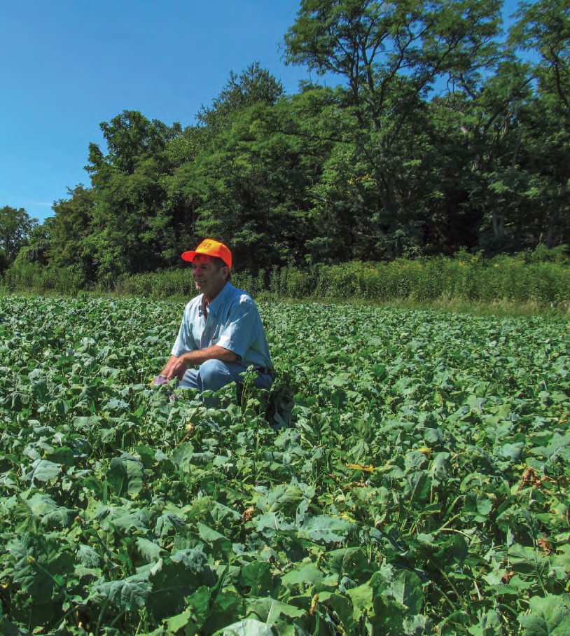 Advanced Food Plotting